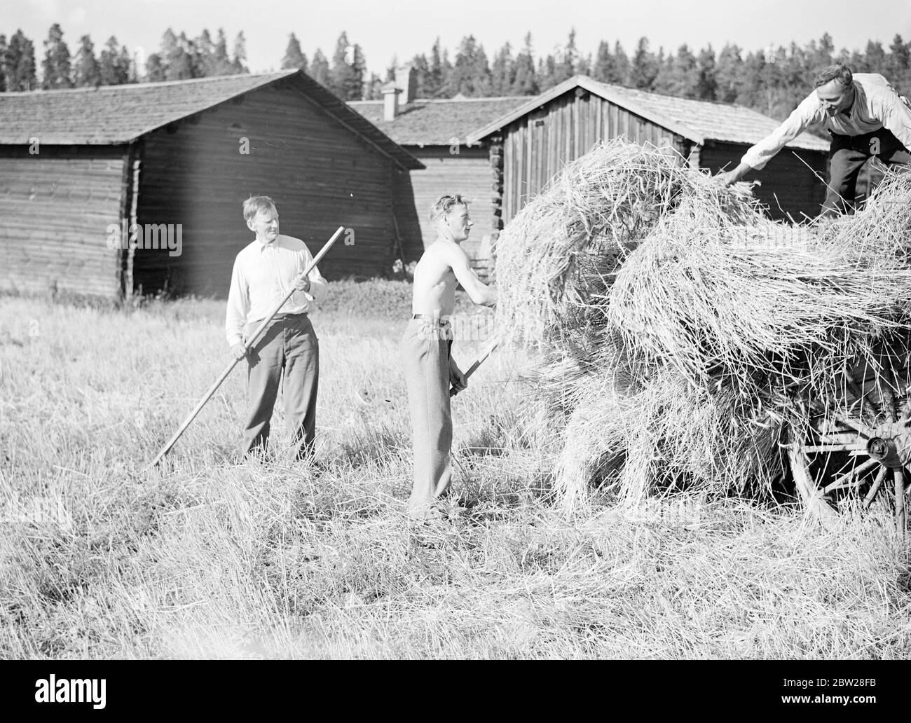 Mannerheim Line High Resolution Stock Photography and Images - Alamy