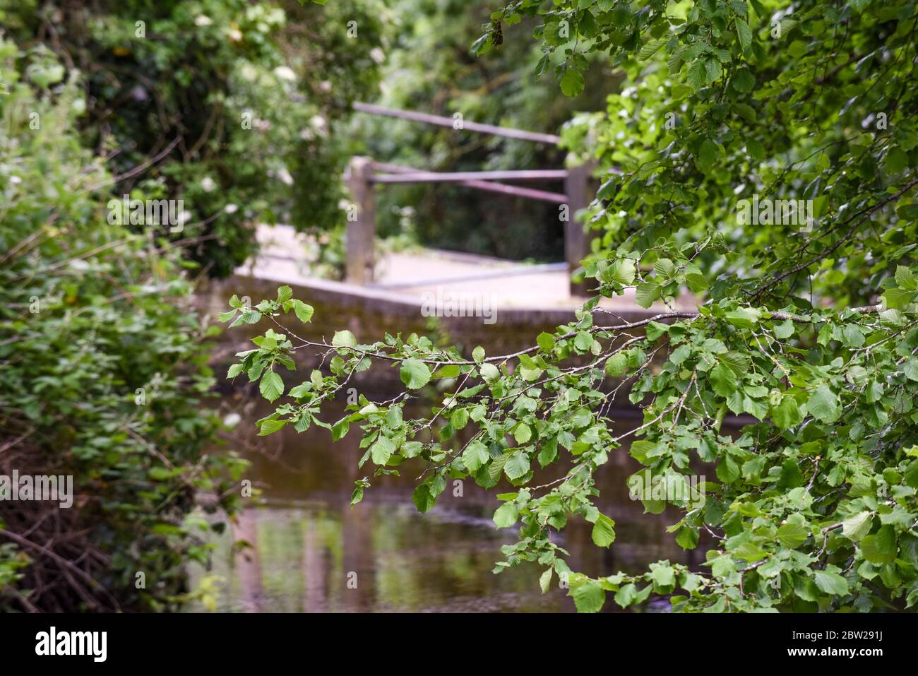 Calm waater in a small river running through countryside Stock Photo ...