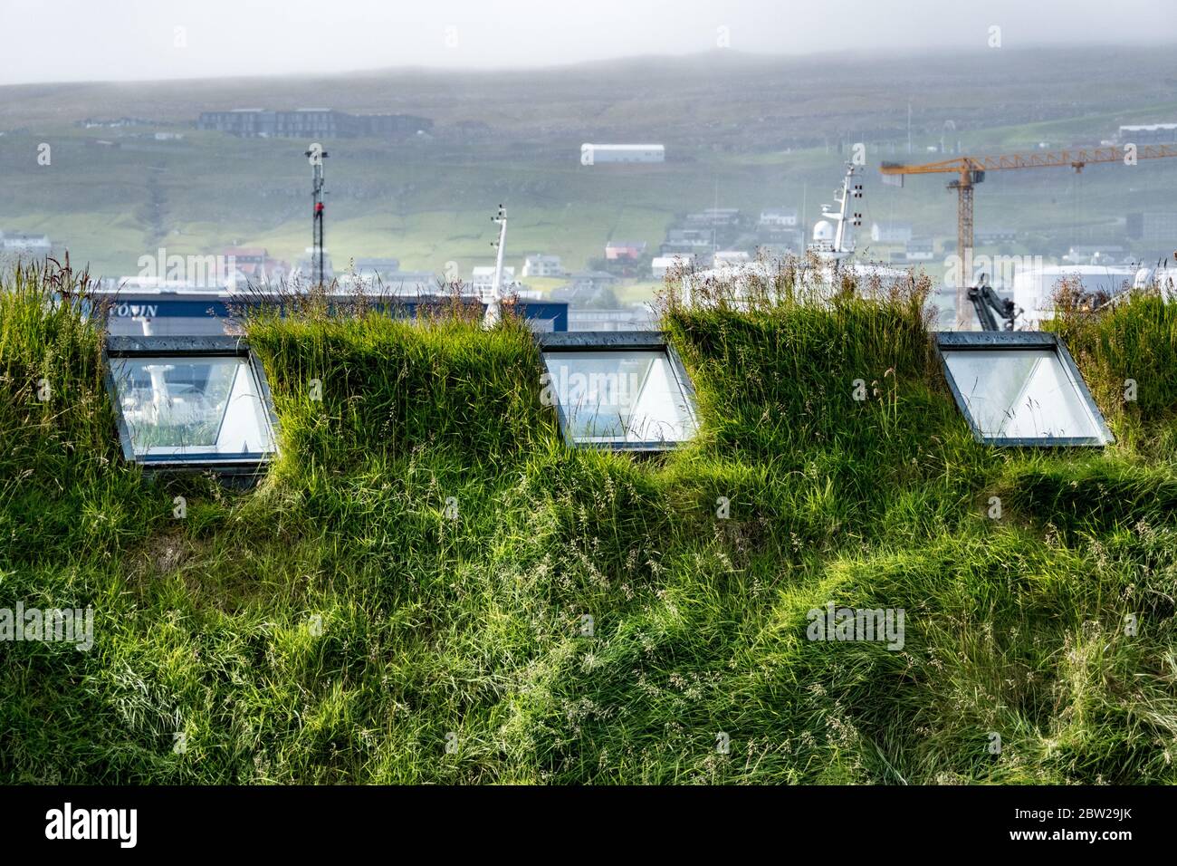 windows in the grass roof Stock Photo - Alamy