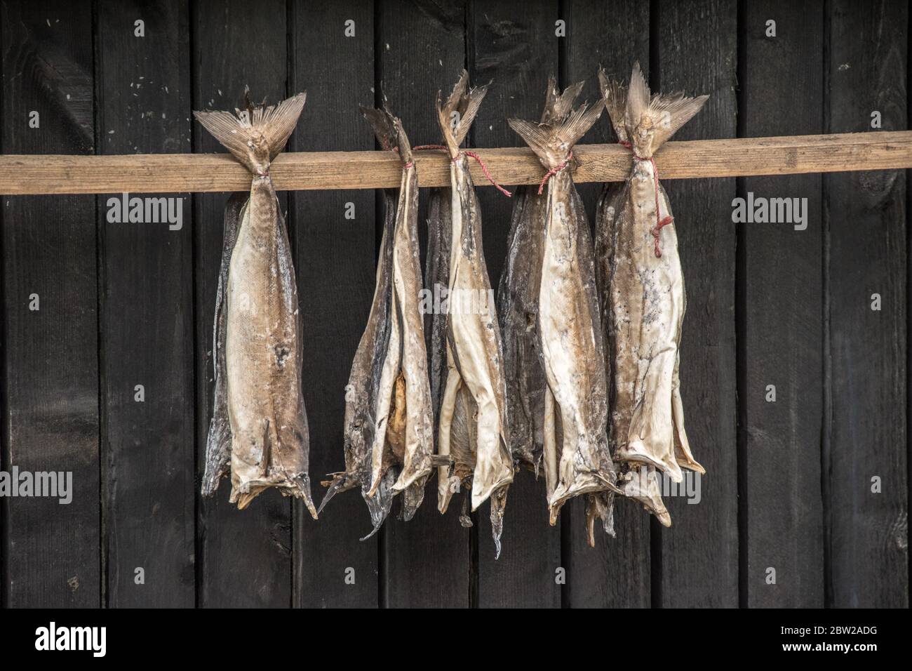 Hang drying salmon hi-res stock photography and images - Alamy