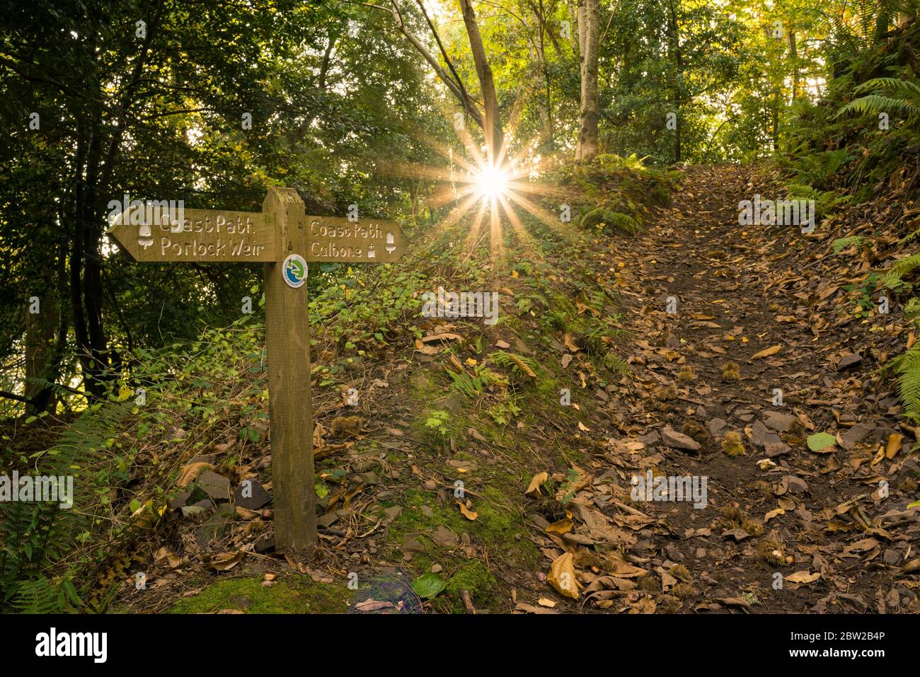 A signpost on the Culbone to Porlock Weir section of the South West ...