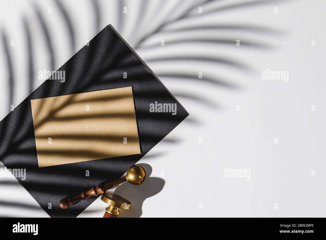 Business card on paper background with foliage shadow Stock Photo - Alamy