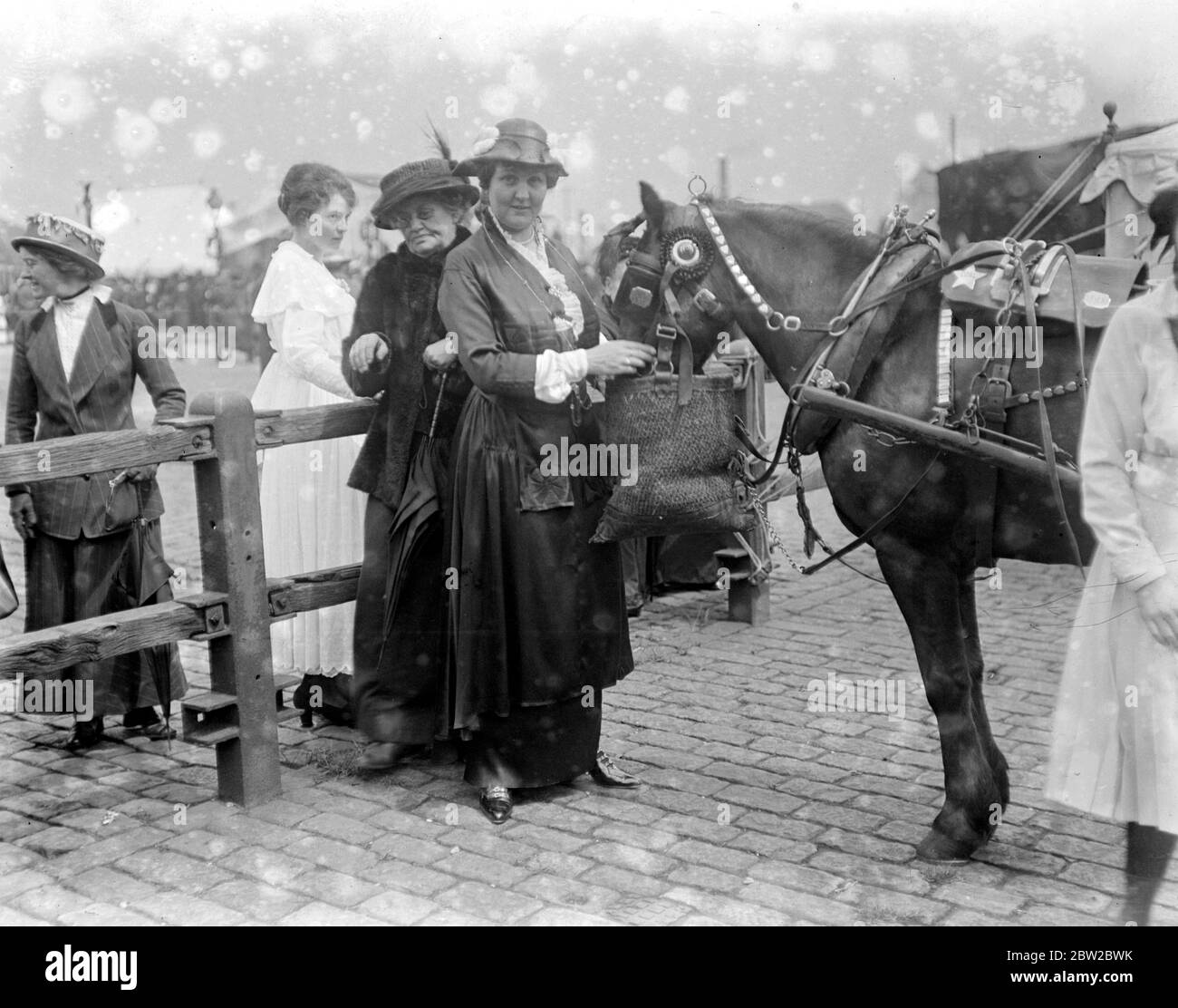 Caledonian market hi-res stock photography and images - Alamy