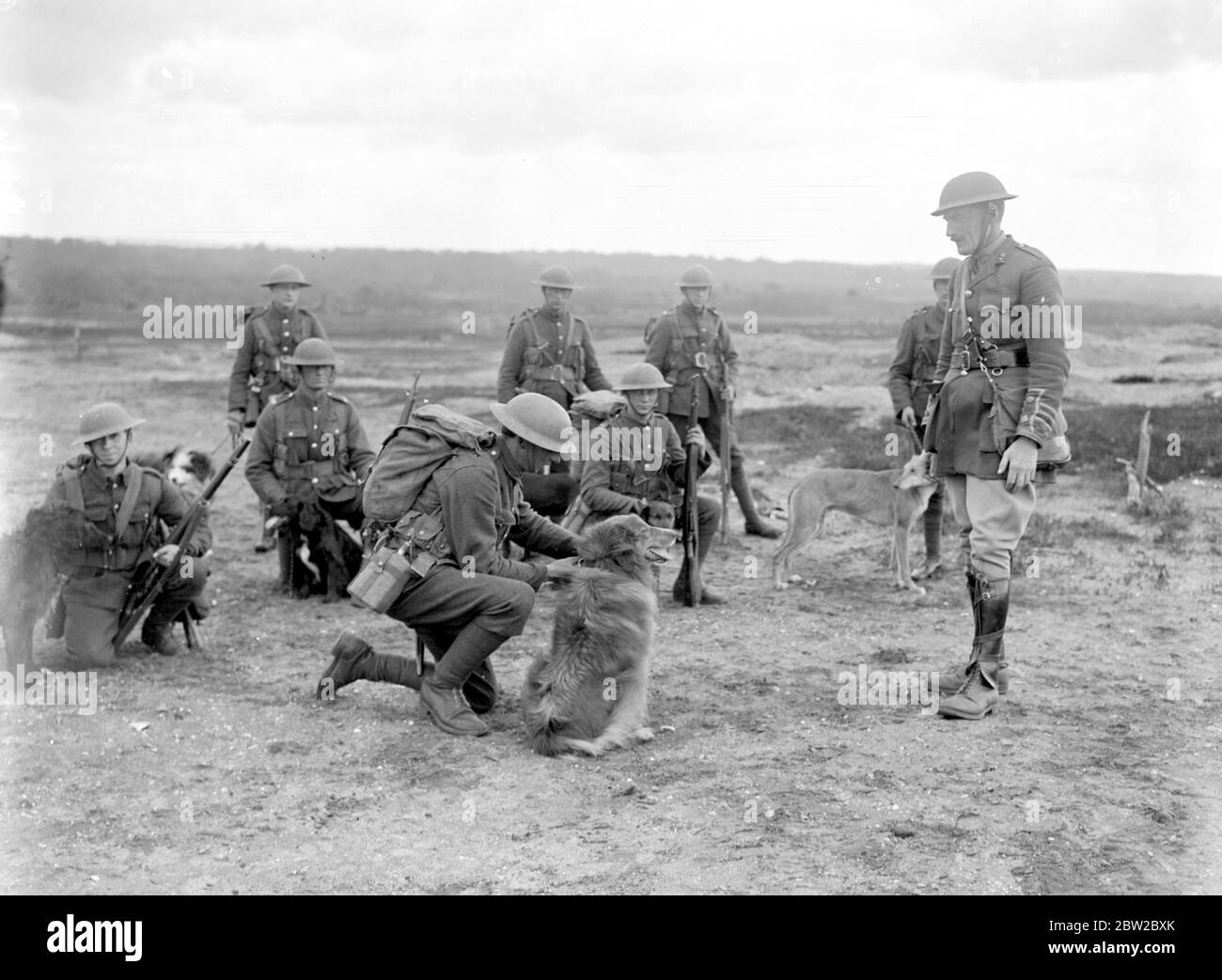Dogs of war hi-res stock photography and images - Alamy