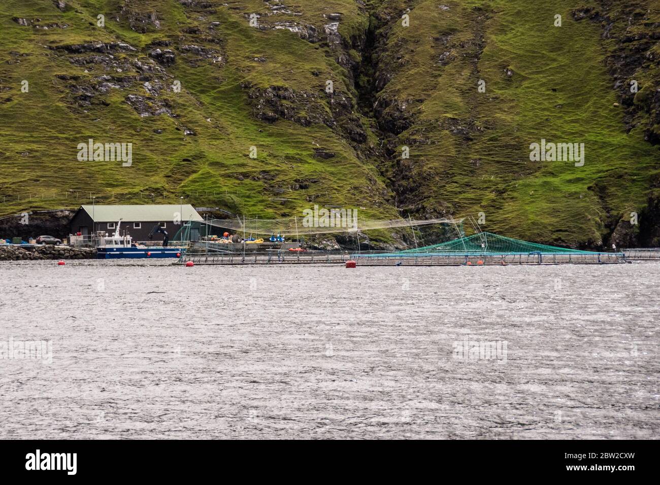 Norwegian fjord trout hi-res stock photography and images - Alamy