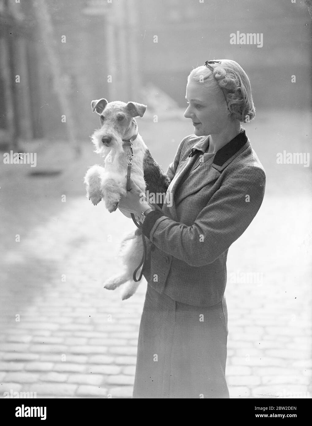 Fox hall sussex hi-res stock photography and images - Alamy