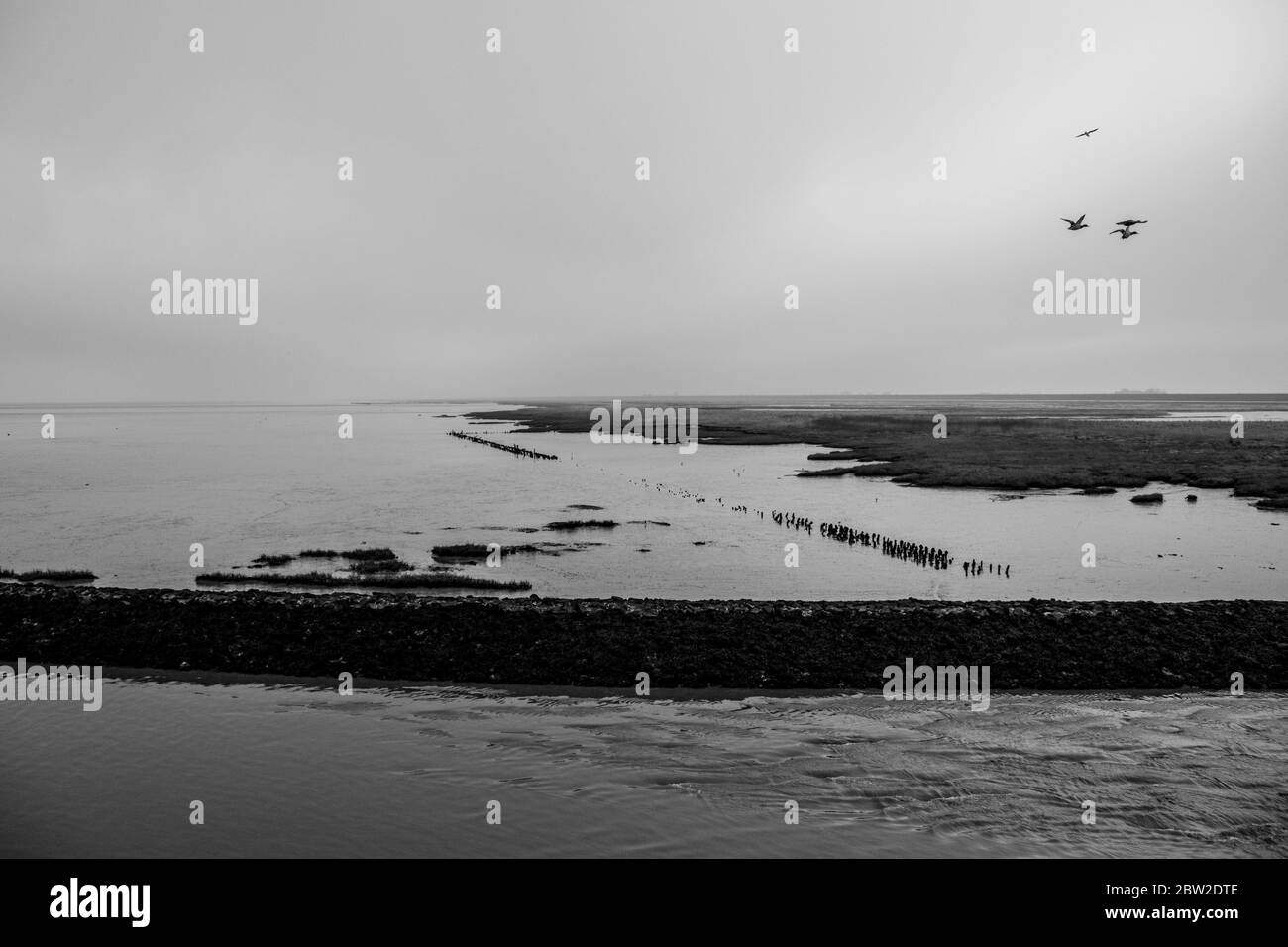 calm and rough north sea Stock Photo - Alamy