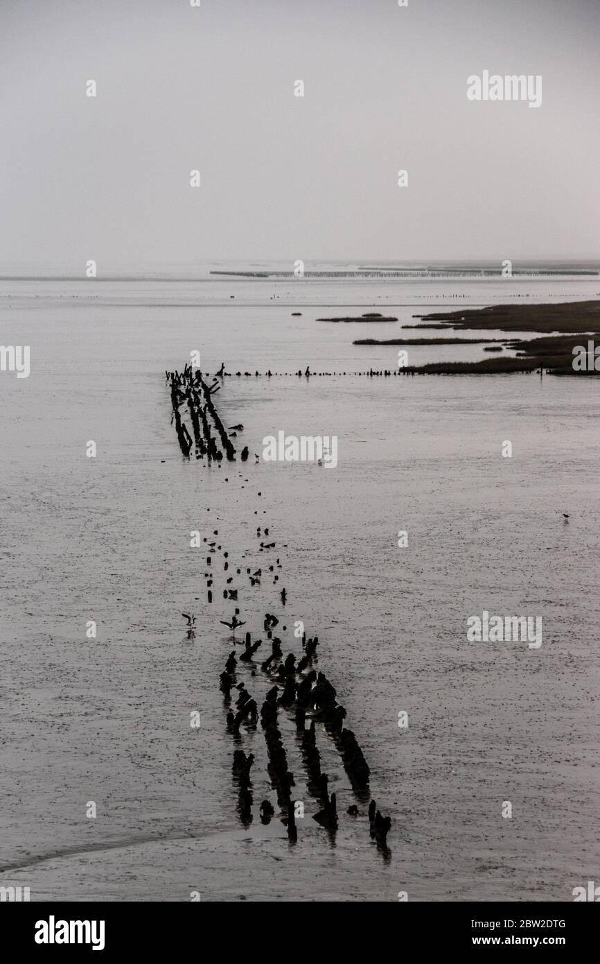 calm and rough north sea Stock Photo - Alamy