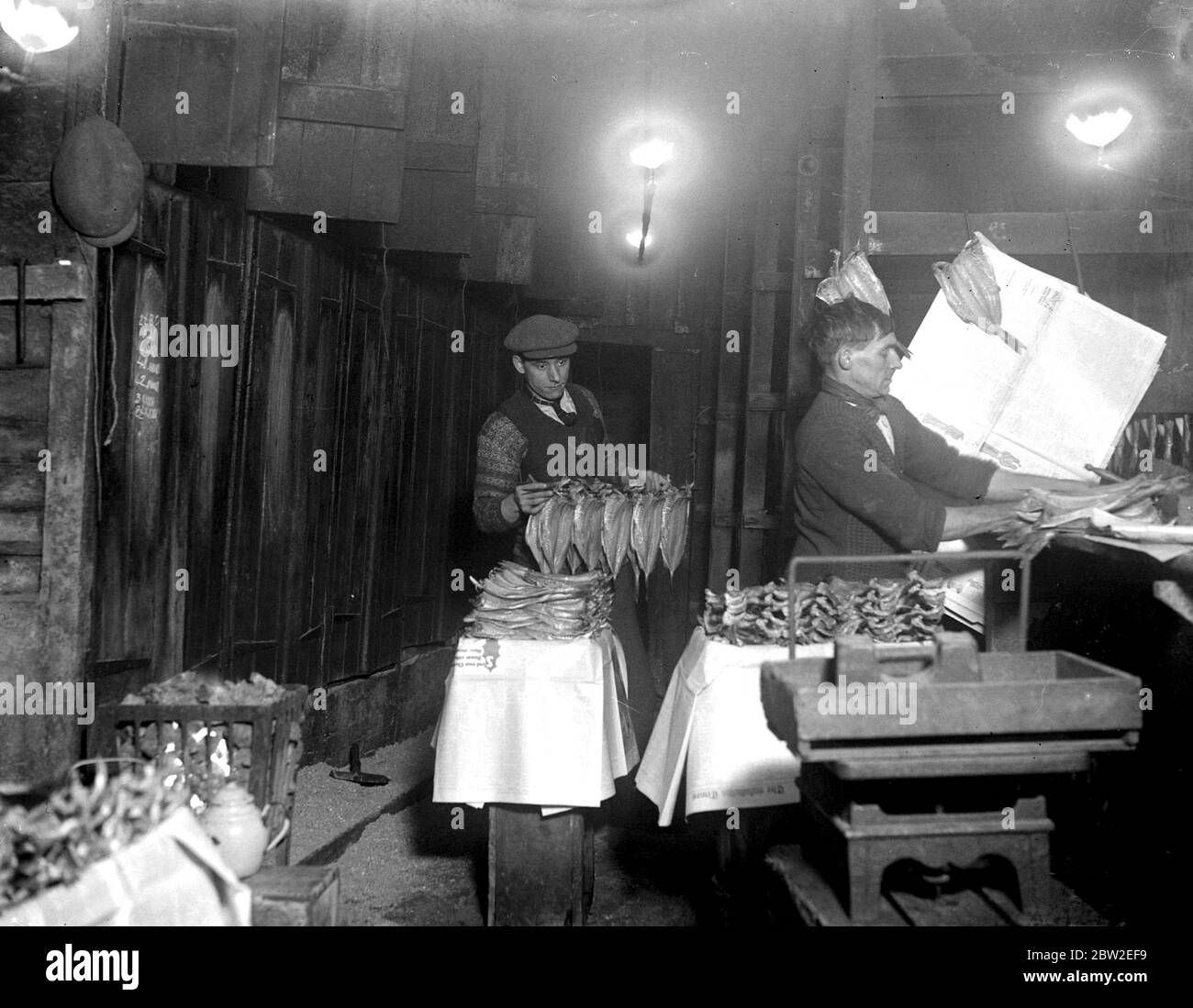 Fish kingdom Black and White Stock Photos & Images - Alamy