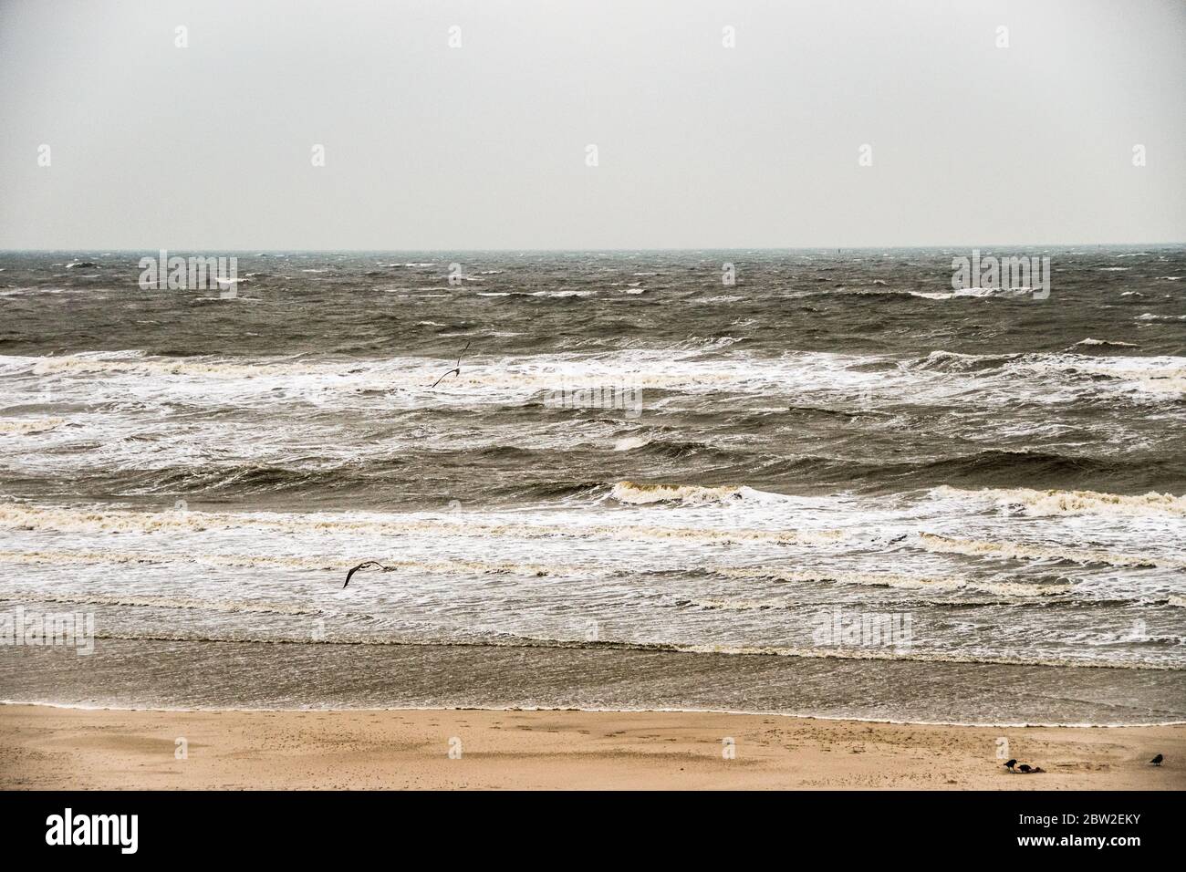 calm and rough north sea Stock Photo - Alamy