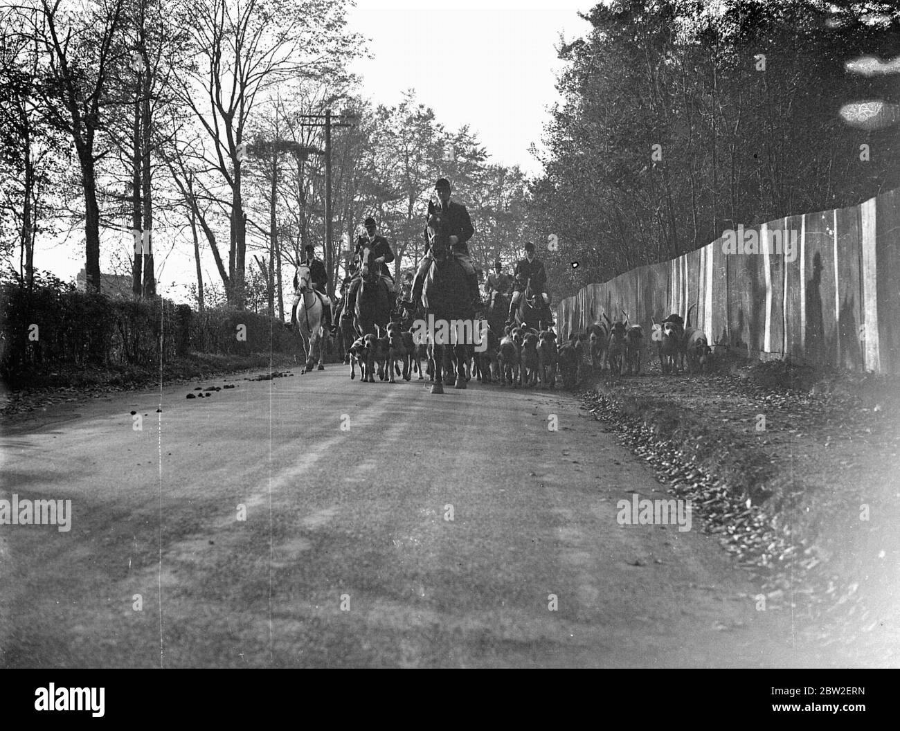 Hunting horse london Black and White Stock Photos & Images - Alamy