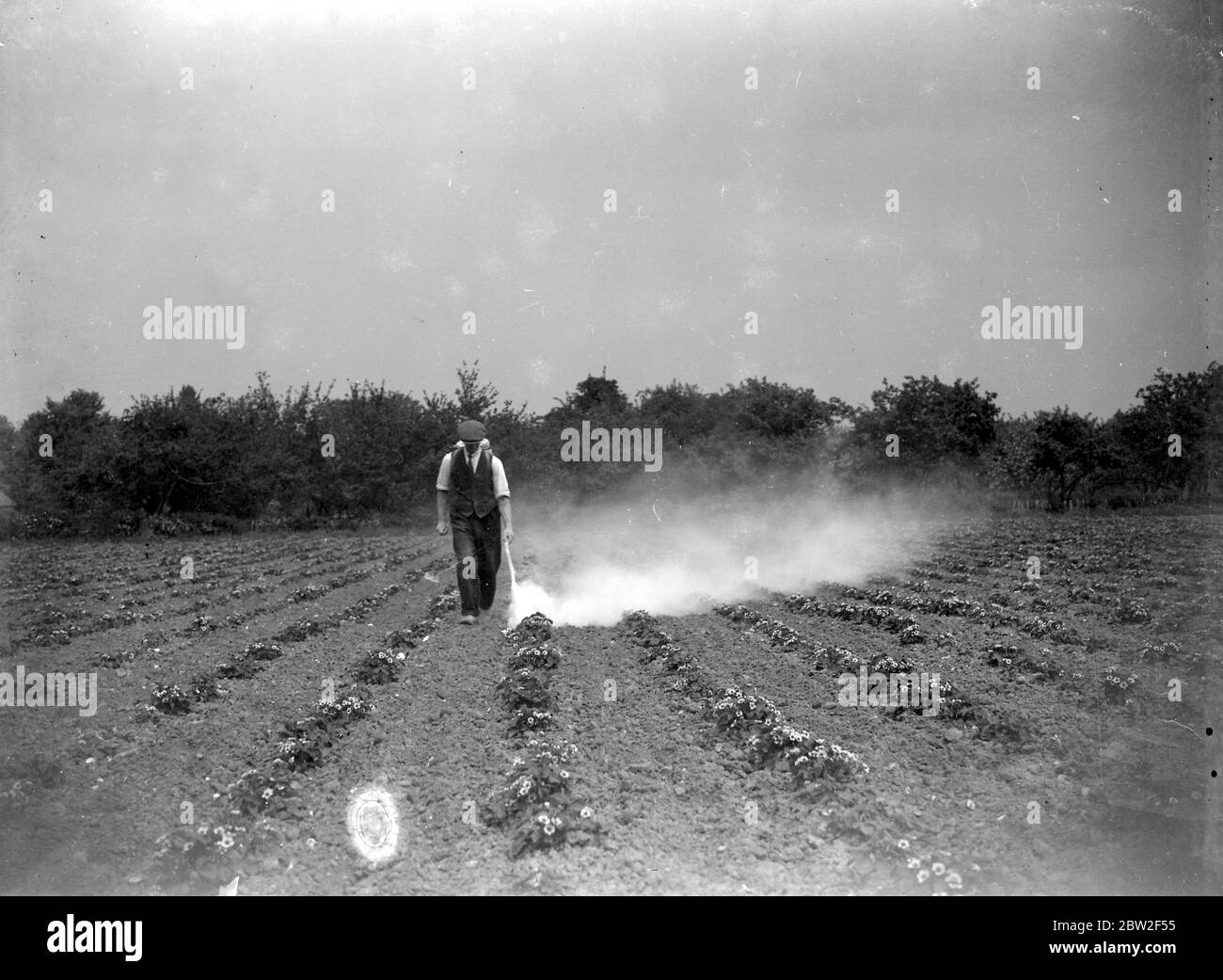 Spraying agriculture Black and White Stock Photos & Images - Alamy