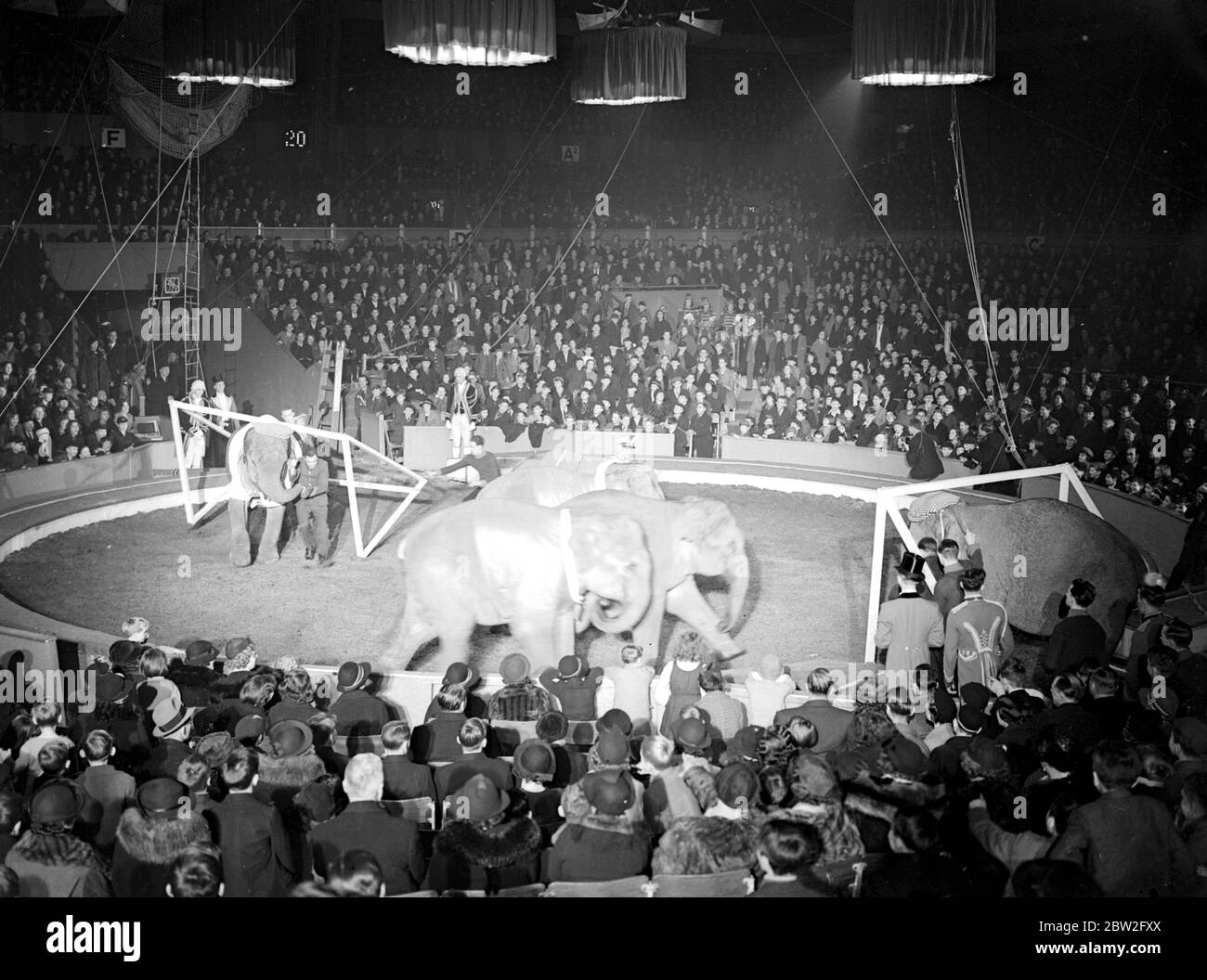 Bertram mills circus olympia Black and White Stock Photos & Images - Alamy