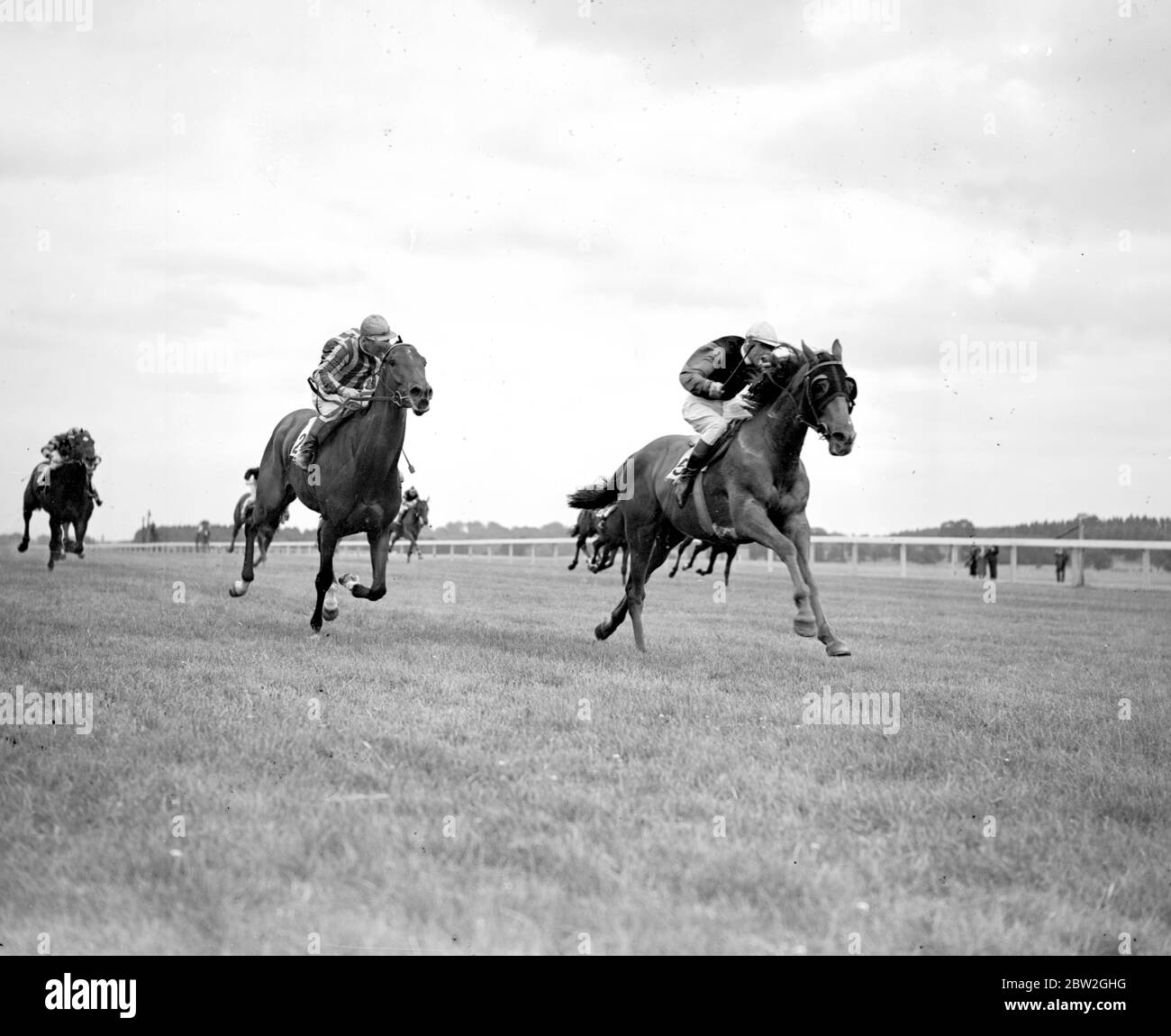 Right fighting Black and White Stock Photos & Images - Alamy