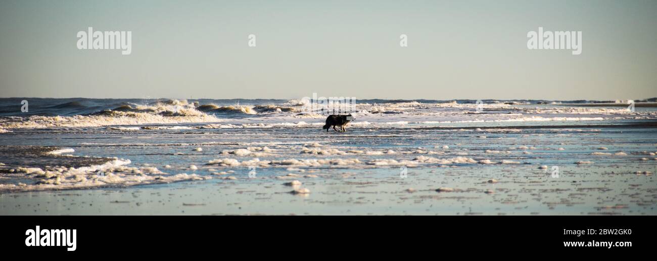 calm and rough north sea Stock Photo - Alamy