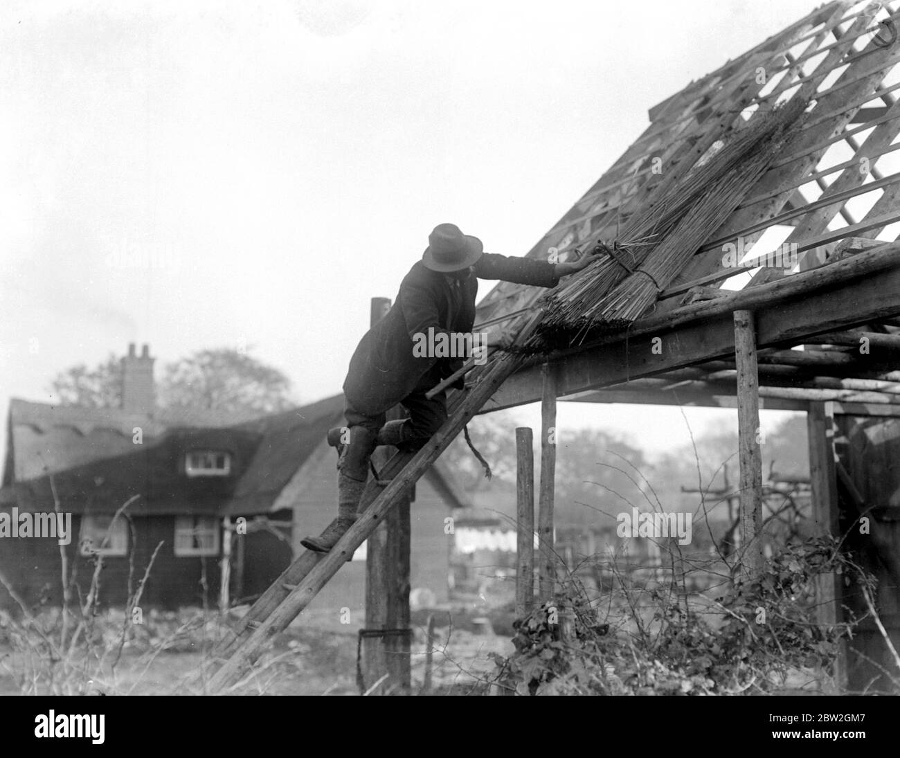 Leggett norfolk hi-res stock photography and images - Alamy