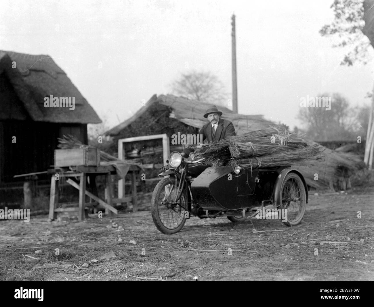 Reed photography hi-res stock photography and images - Alamy