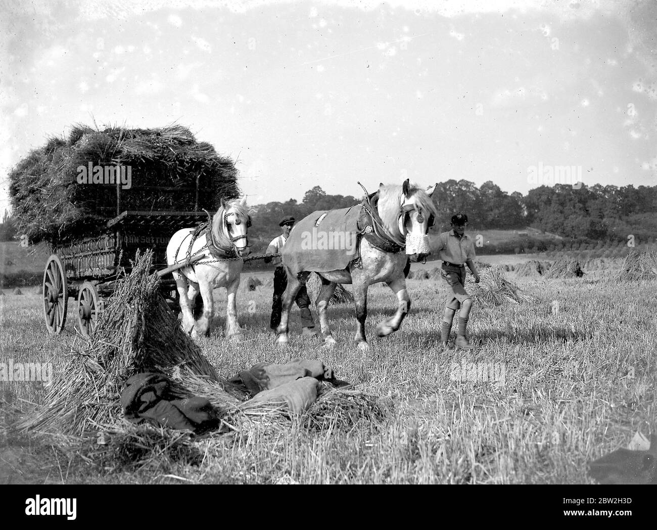 Corn harvest history historical hi-res stock photography and images - Alamy