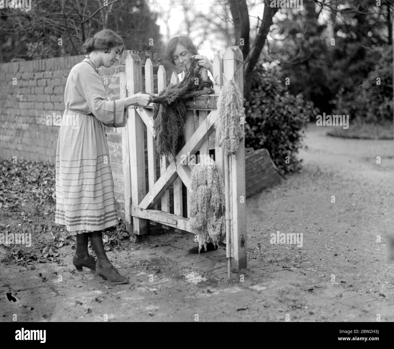 Home dyeing and weaving industry at Edgware. Drying the wool on the ...