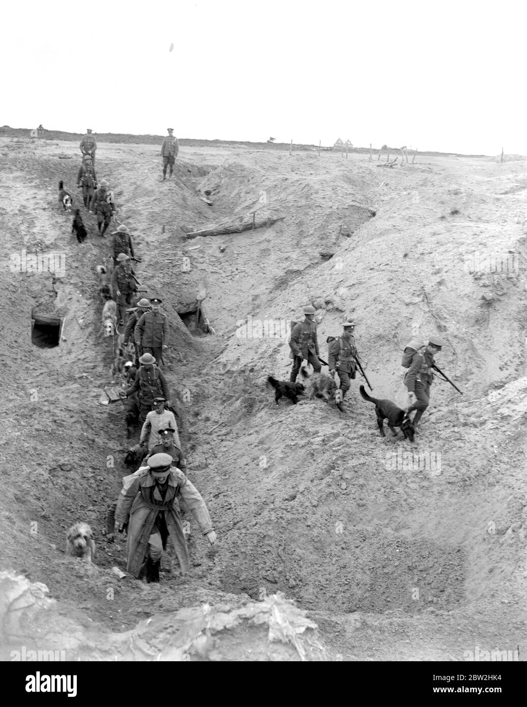 Dogs of war hi-res stock photography and images - Alamy