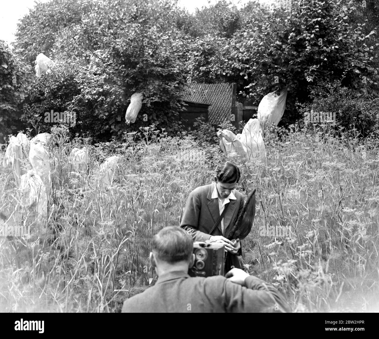Filming animals Black and White Stock Photos & Images - Alamy