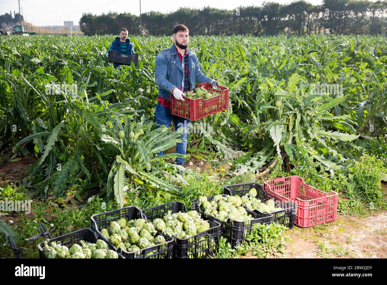 Farmer carrying crop on head hi-res stock photography and images - Alamy
