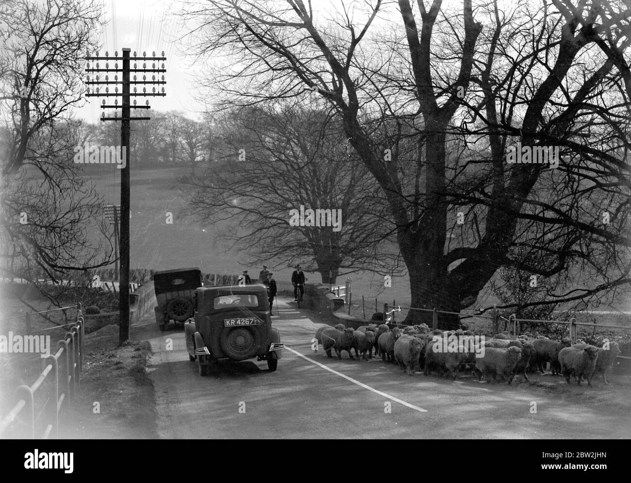 Country road in Black and White Stock Photos & Images - Alamy