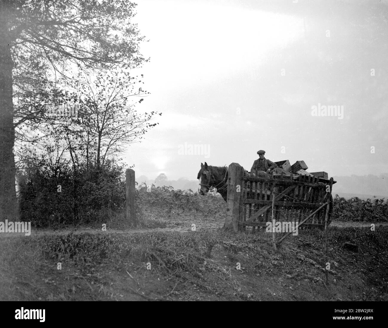 Farm scene. 14 November 1934 Stock Photo - Alamy
