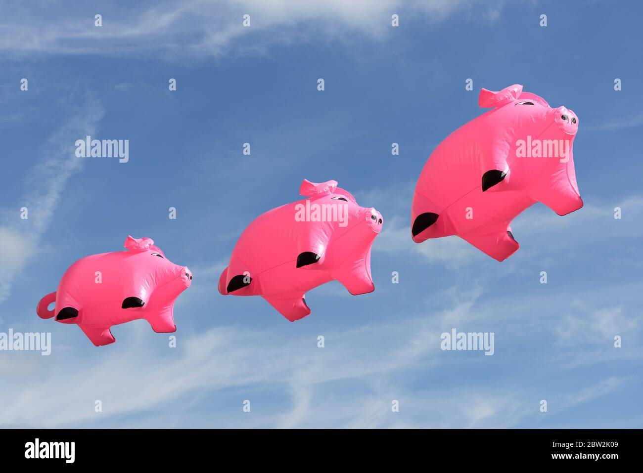 Pigs might fly Stock Photo - Alamy