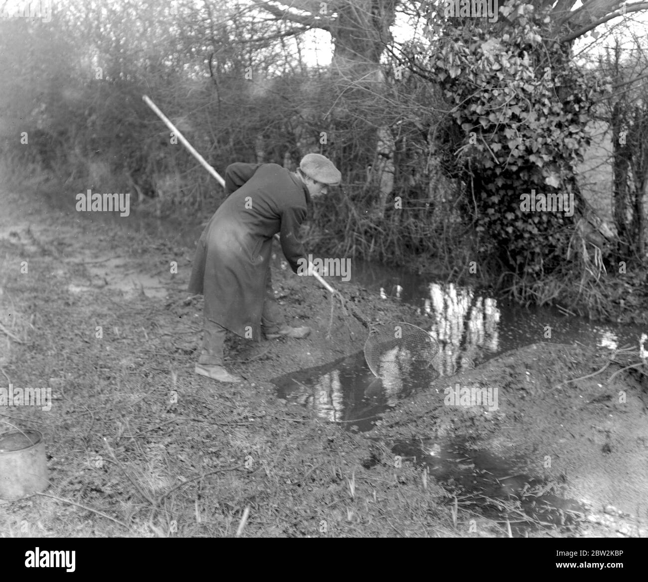 John Edward Molloy, Frog-Catcher Stock Photo - Alamy