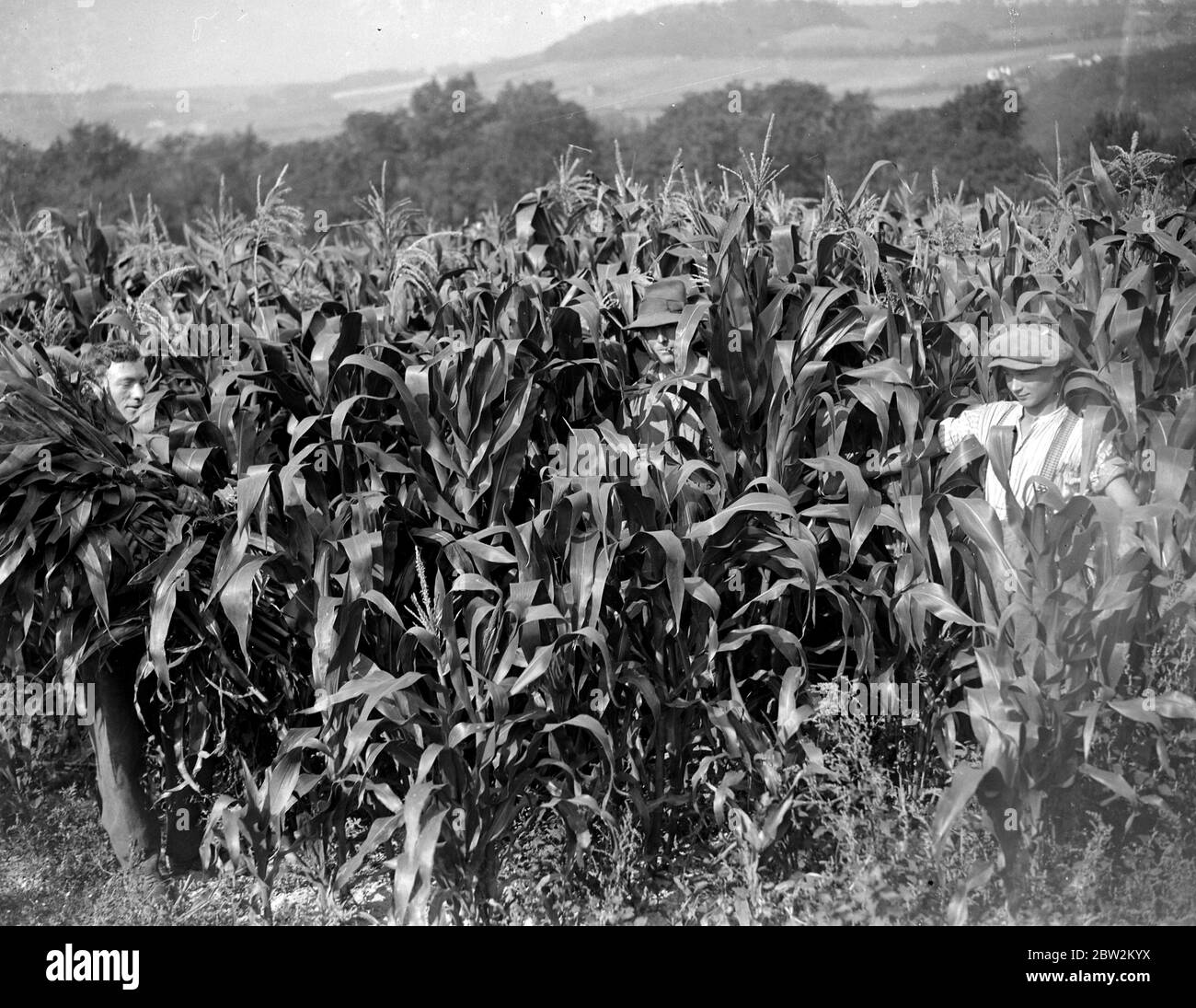 Farningham kent hi-res stock photography and images - Alamy