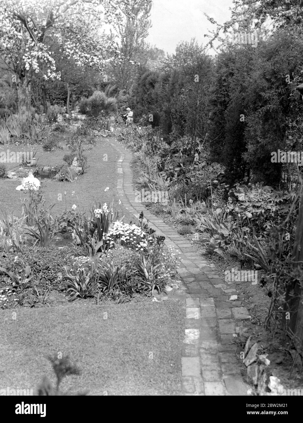 Garden photography Black and White Stock Photos & Images - Alamy