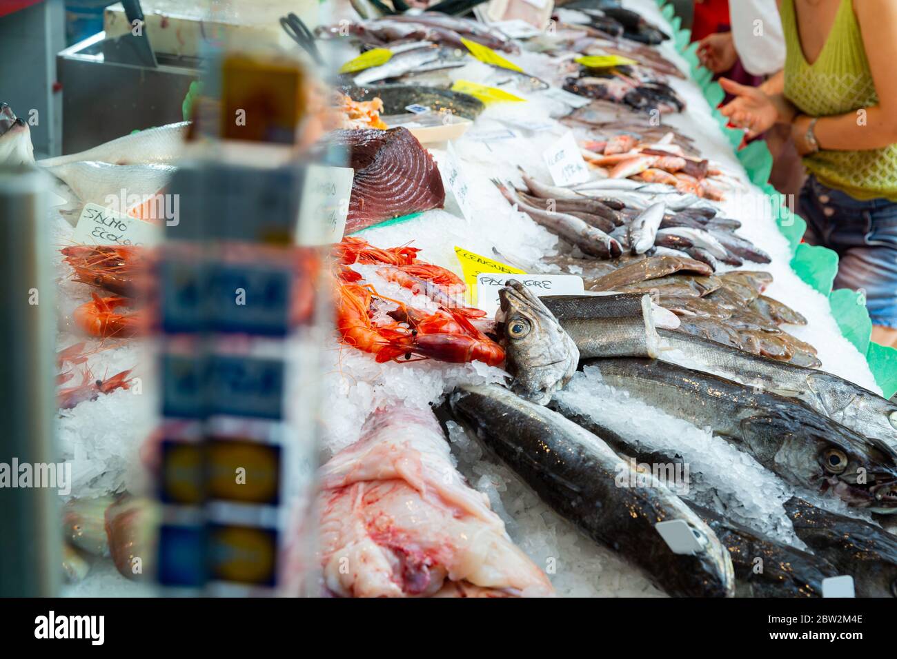View of large assortment of fresh seafoods on icy showcase of fish ...