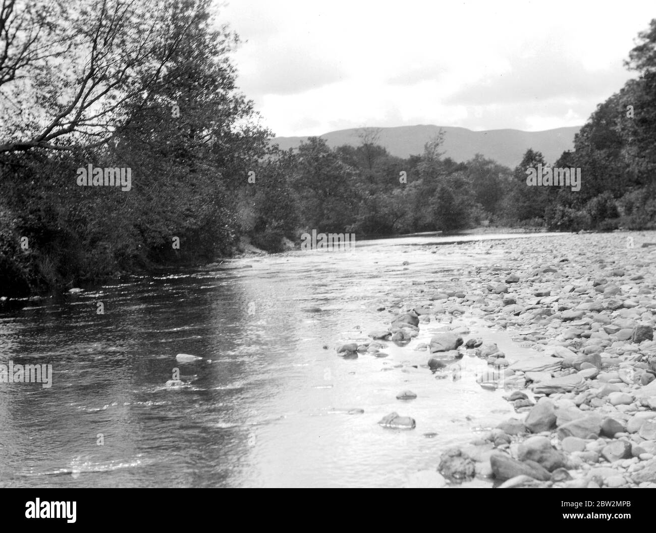 Black white view trees hi-res stock photography and images - Alamy