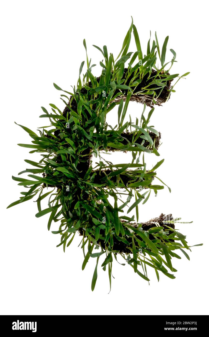 Grown from Cut Out Stock Images & Pictures - Alamy