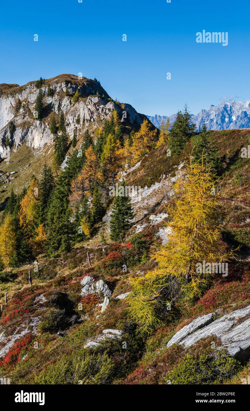 Sunny idyllic autumn alpine scene. Peaceful Alps mountain view from ...