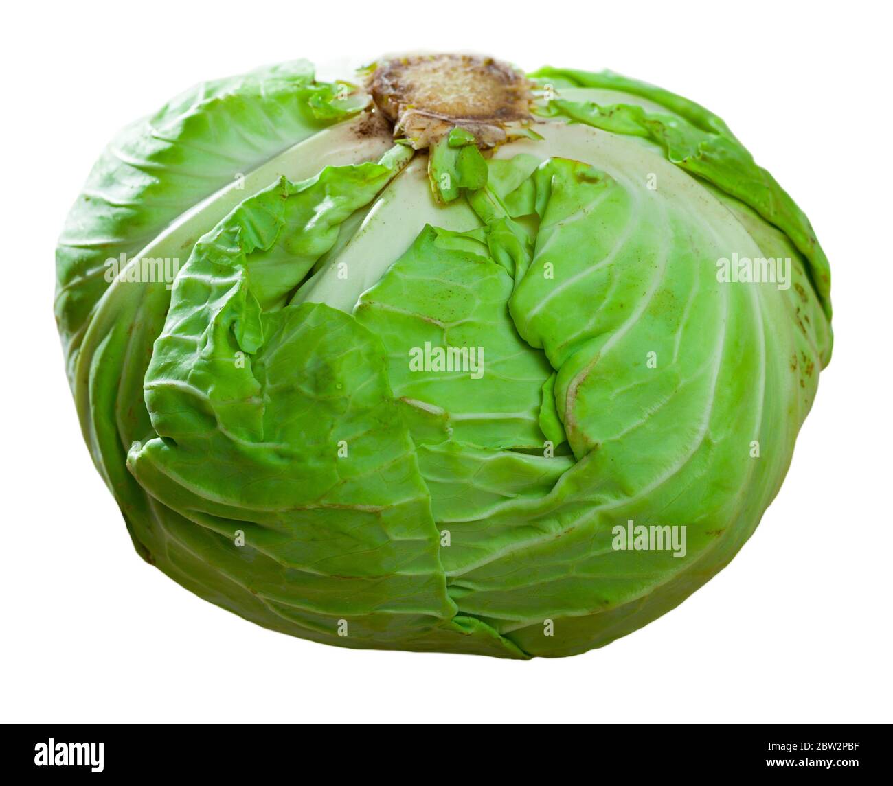 Whole green cabbage head. Popular vegetarian ingredient. Isolated over ...