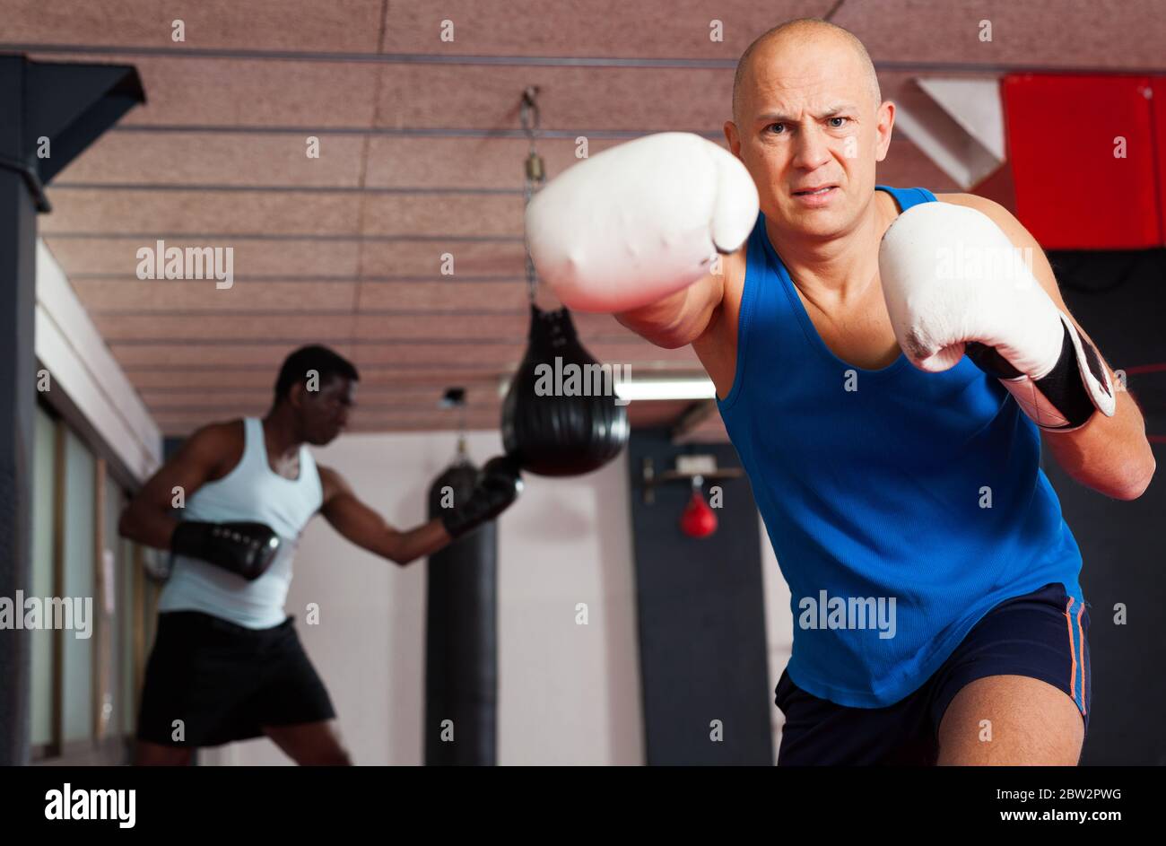 Potrait of man boxer who is training in gym Stock Photo - Alamy