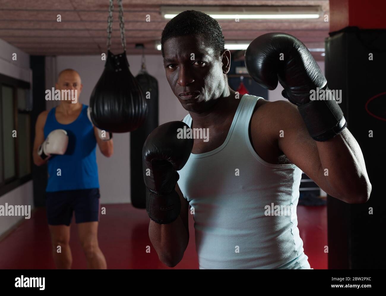 Confident afro american in boxing rack Stock Photo - Alamy