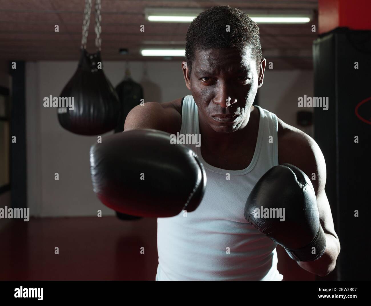 Potrait of african american boxer who is training in gym Stock Photo ...