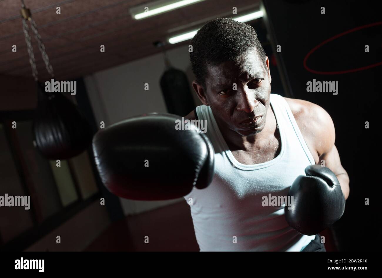 Potrait of african american boxer who is training in gym Stock Photo ...