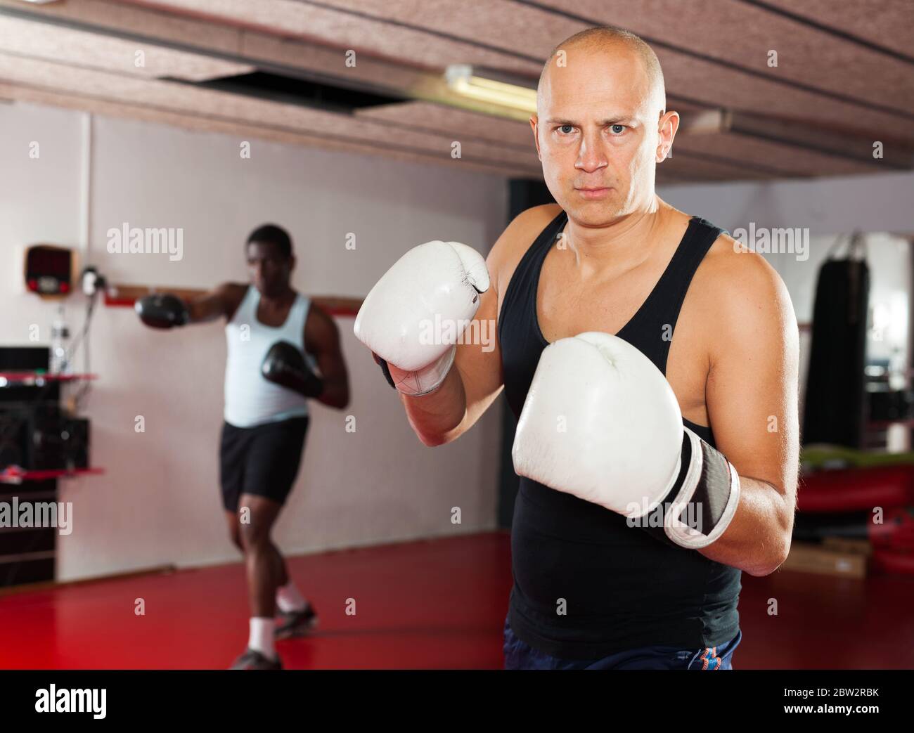 Potrait of man boxer who is training in gym Stock Photo - Alamy