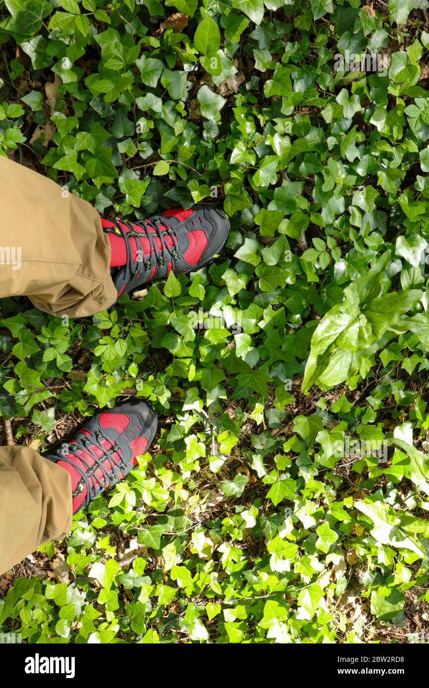 Shoes top view cutout hi-res stock photography and images - Alamy