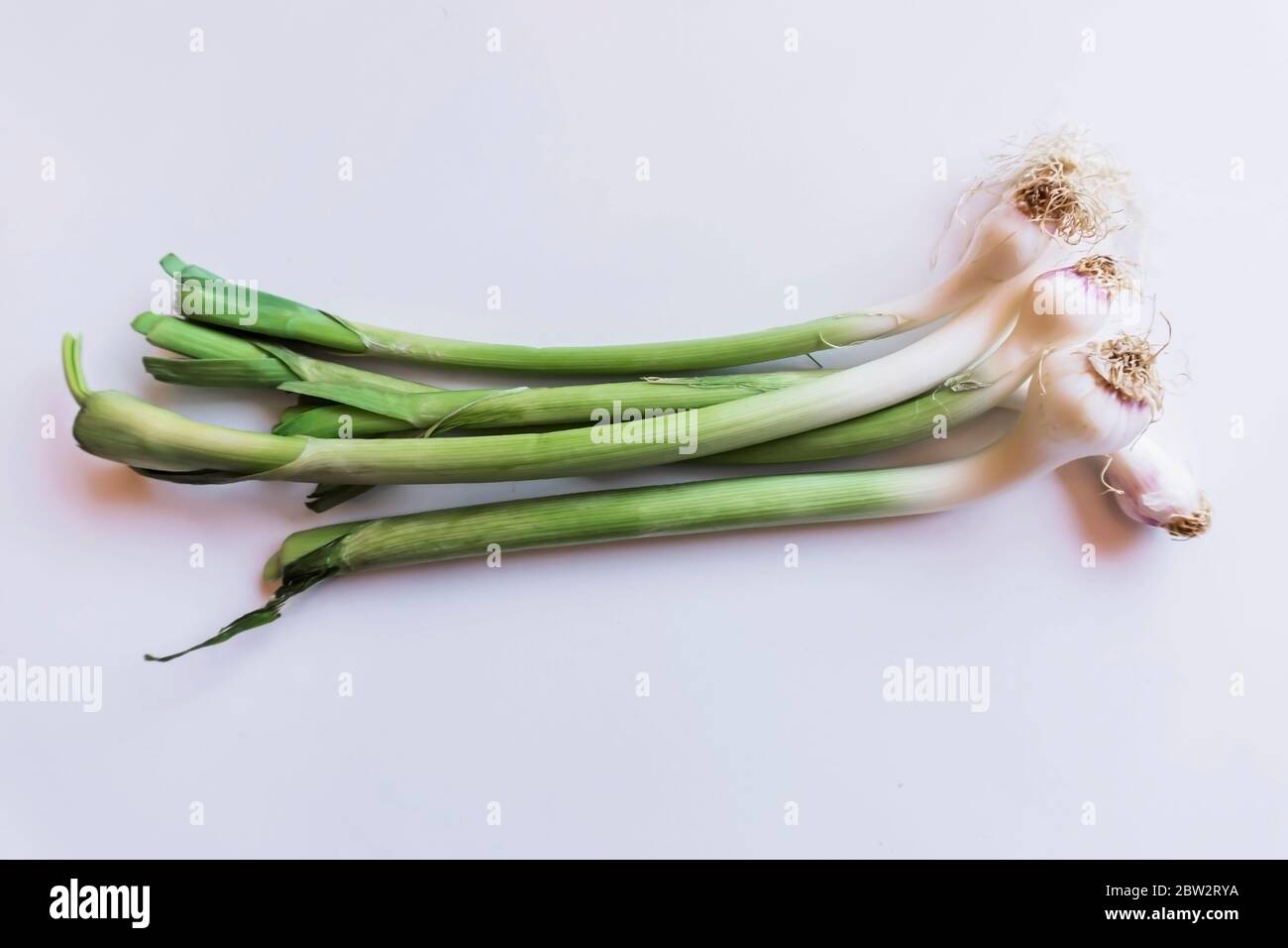 scallions isolated on white background Stock Photo - Alamy
