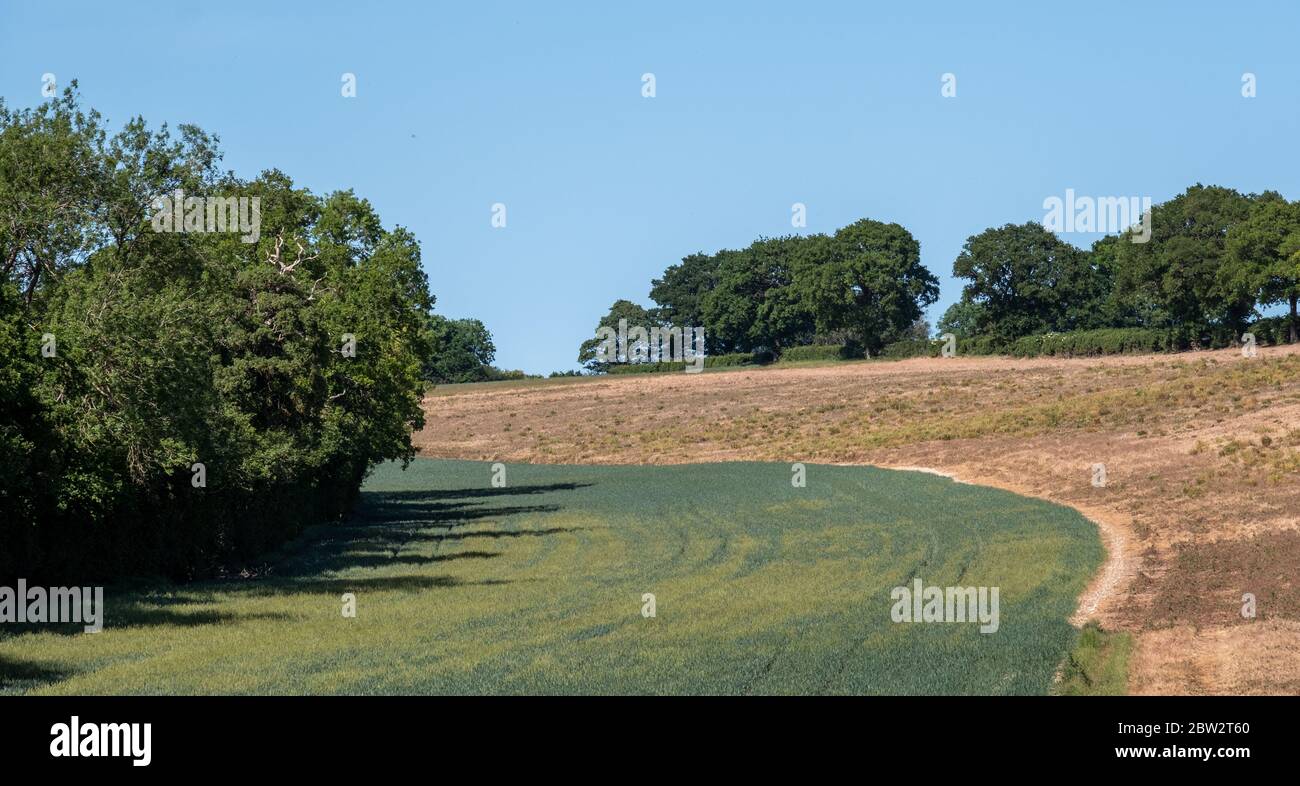 Field in the Chess River Valley between Chorleywood and Sarratt ...