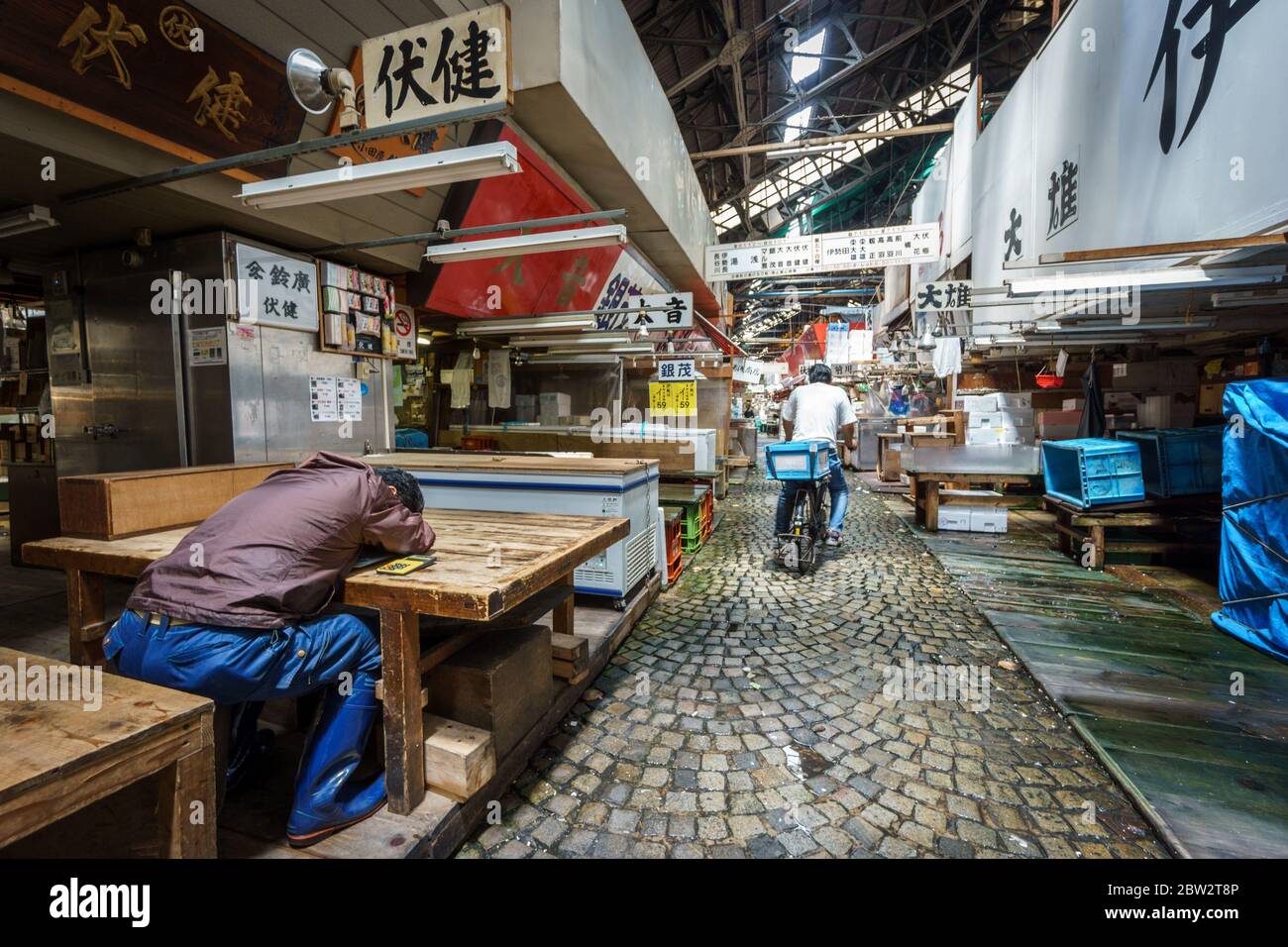 Singular fish hi-res stock photography and images - Alamy