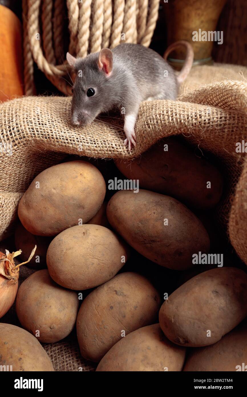 Barn bag hi-res stock photography and images - Alamy
