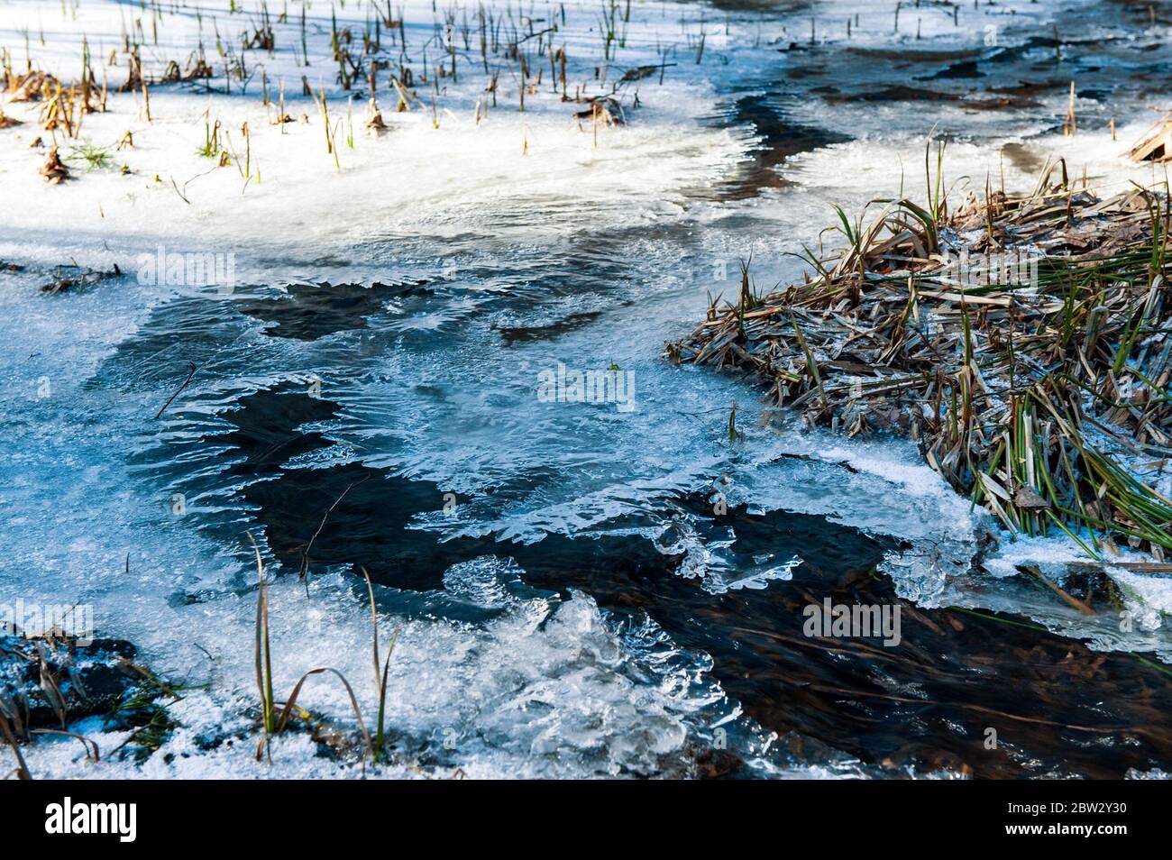 stream covered with figured ice in spring with blue shadows Stock Photo ...