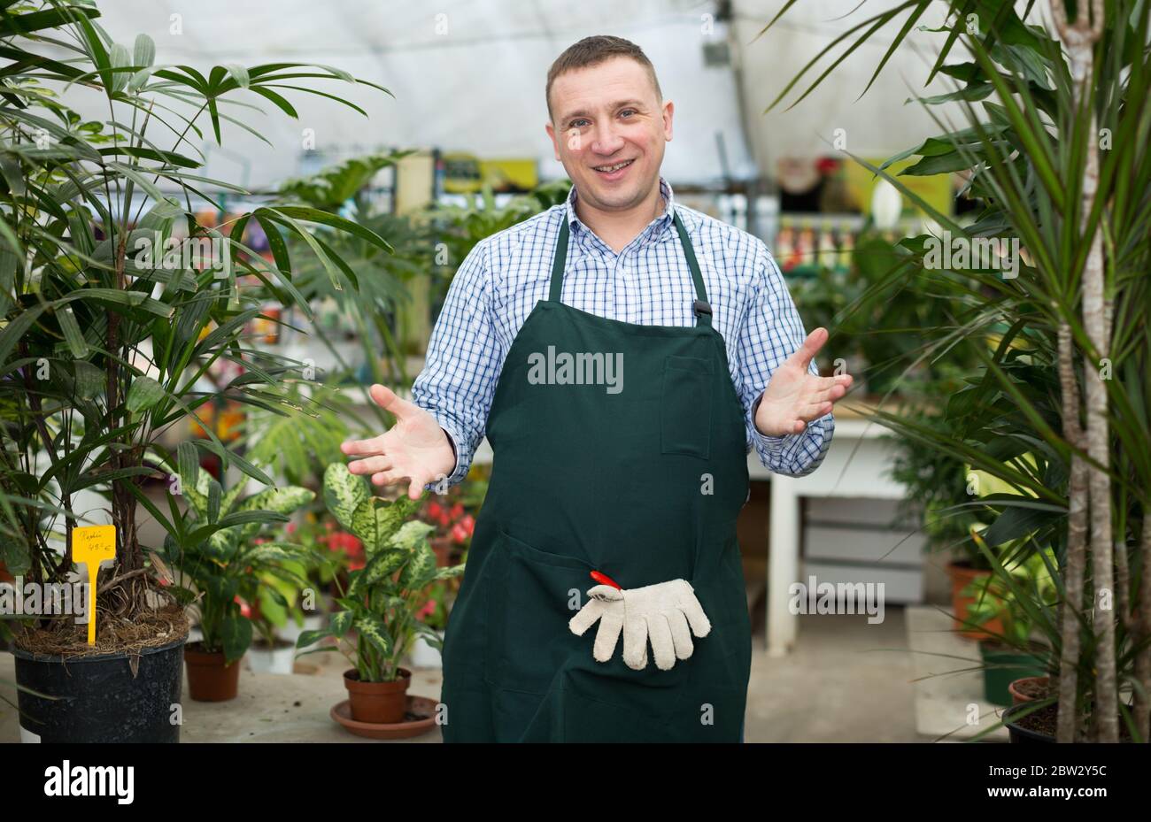 Portrait of man gardener who is standing on his work place in ...