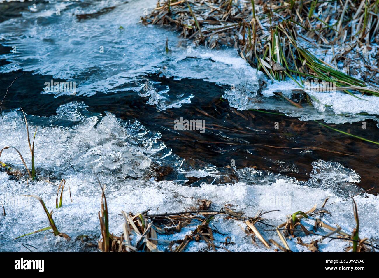 stream covered with figured ice in spring with blue shadows Stock Photo ...